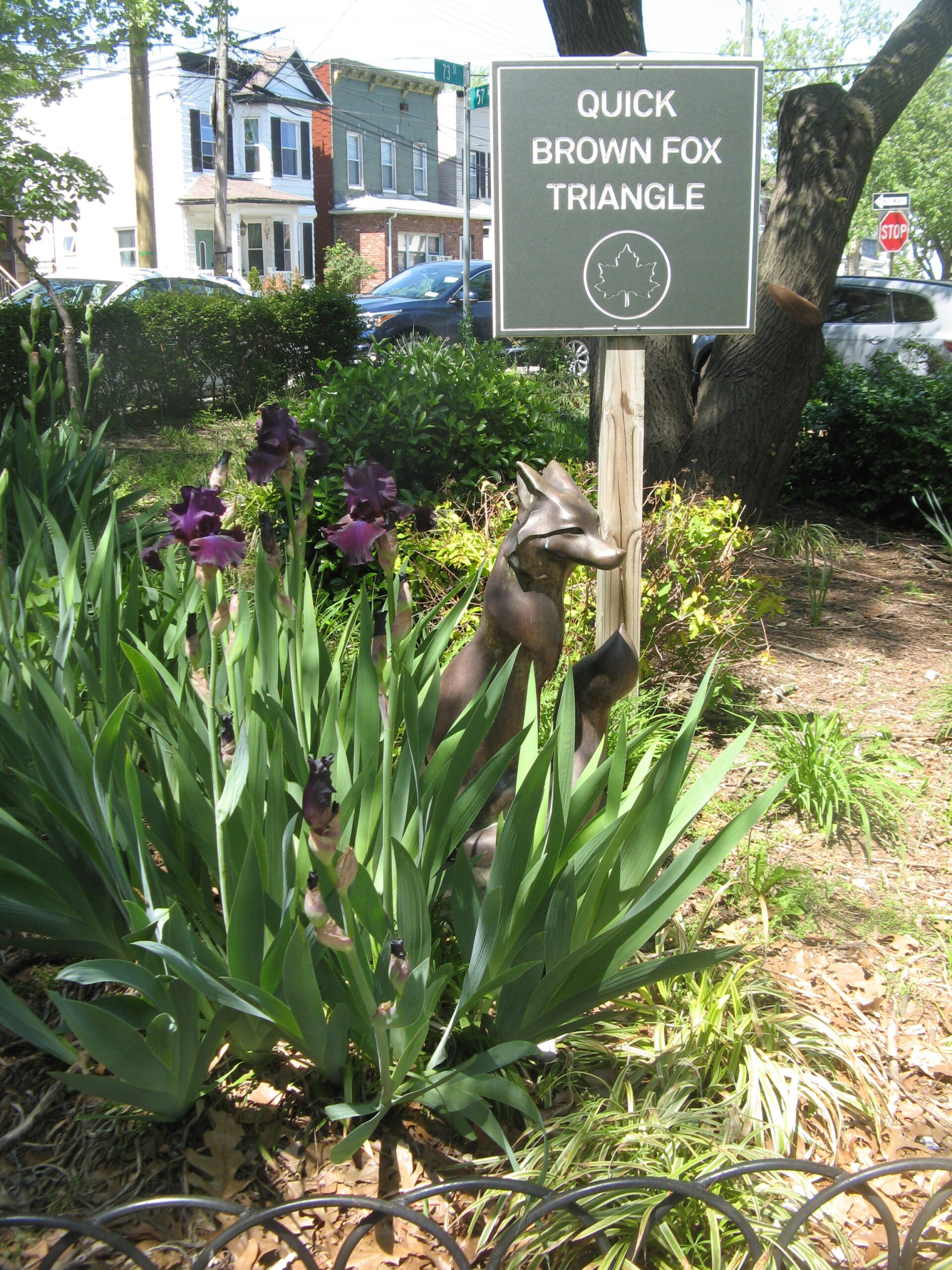Quick Brown Fox - The Juniper Park Civic Association